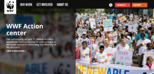 10 Contoh Website Organisasi Keren untuk Inspirasi Kamu