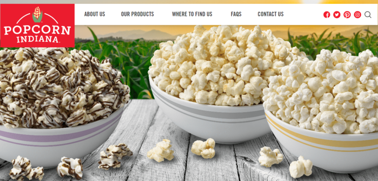 15 Contoh Website Makanan Ringan Keren + Cara Membuatnya